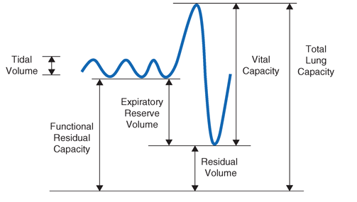 Disturbances of Respiratory Functions - NEWNMCLE