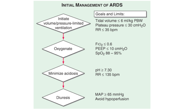 Acute Respiratory Distress Syndrome - NEWNMCLE