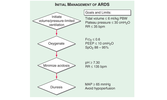 Acute Respiratory Distress Syndrome - NEWNMCLE