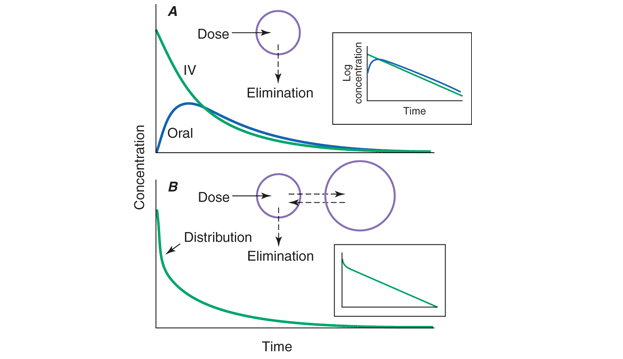 Principles of Clinical Pharmacology - NEWNMCLE